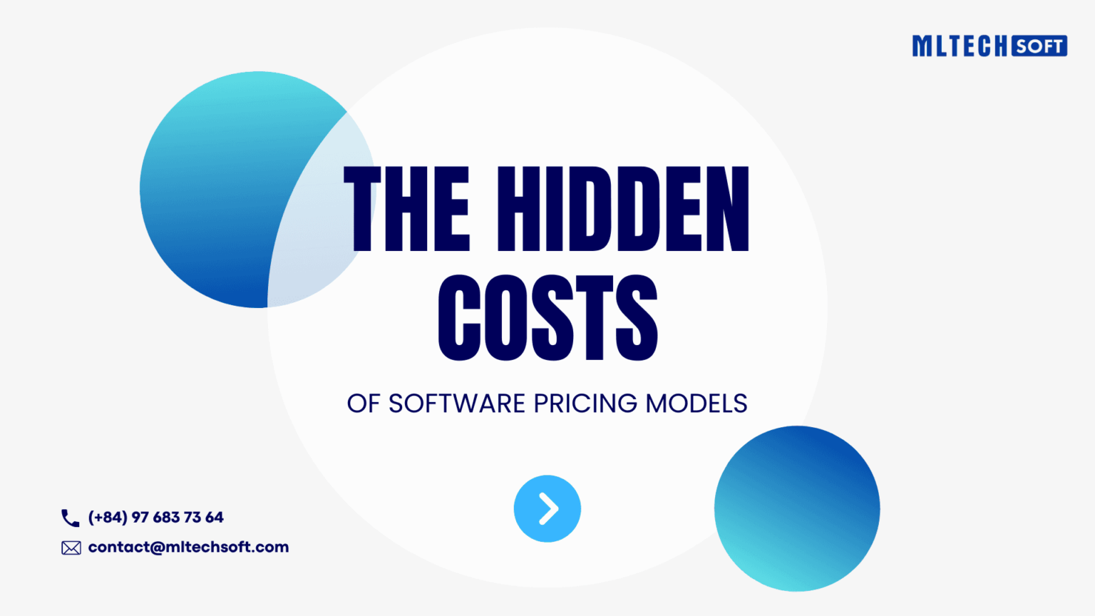The Hidden Costs of Software Pricing Models